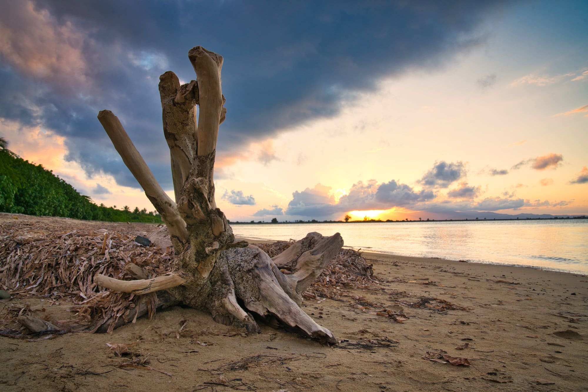 Ceiba Tree Beach – Vieques Beaches – Vieques Beach Map