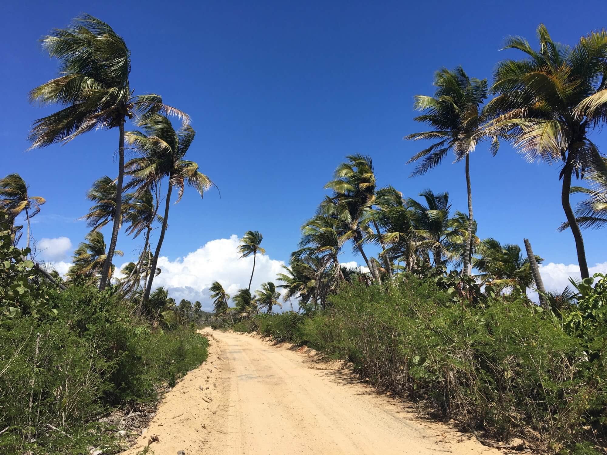 Playa Grande – Vieques Beaches – Vieques Beach Map