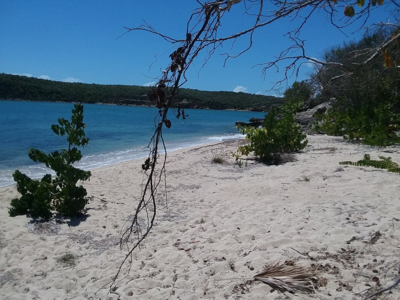 Playa Corcho – Vieques Beaches – Vieques Beach Map